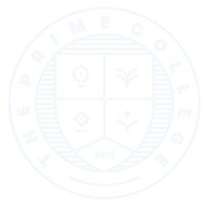 Prime College - Training Programs
